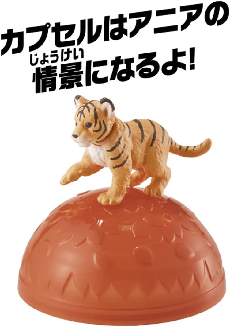 TAKARA TOMY Ania AC-07 Tiger (Child) japan NEW | Zipang Hobby