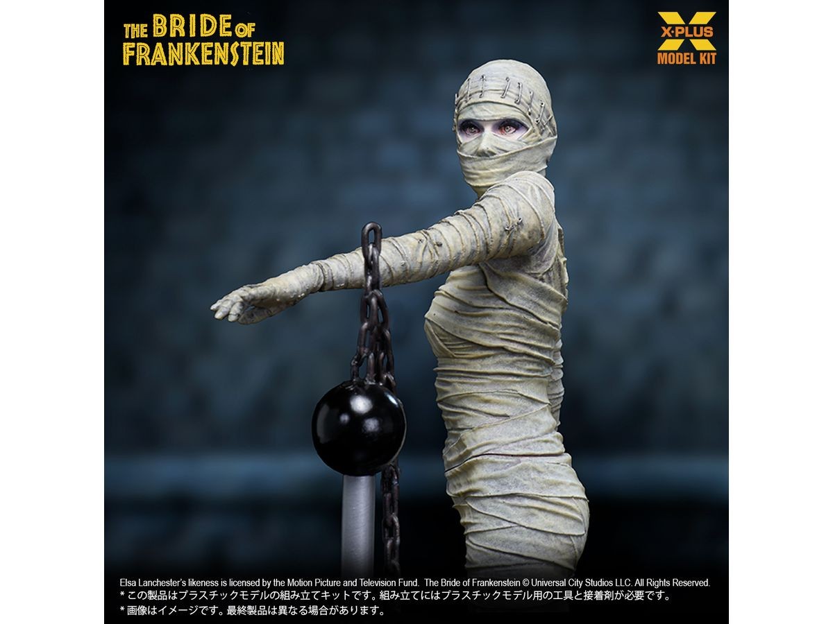 X Plus 1/8 The Bride of Frankenstein Plastic Model Kit japan NEW ...
