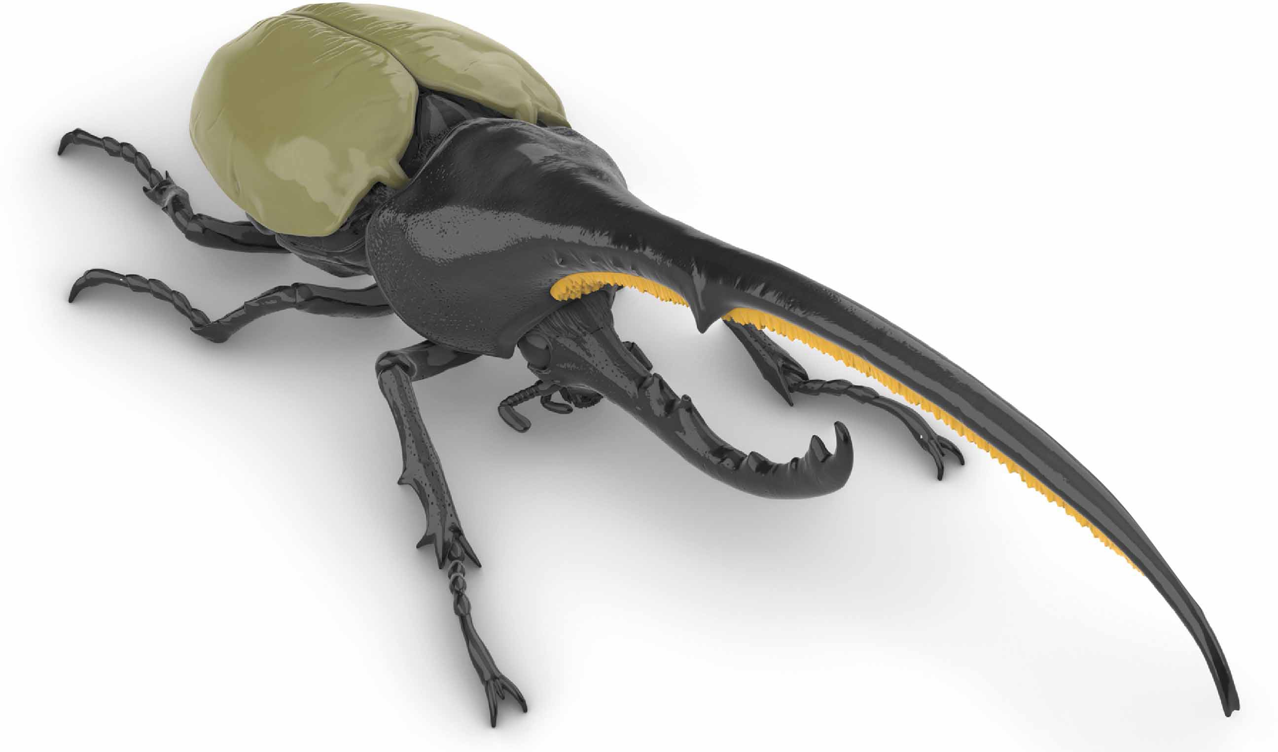 Fujimi Jiyuu Kenkyuu Series No.26 Ikimono Hen Dynastes Hercules ...