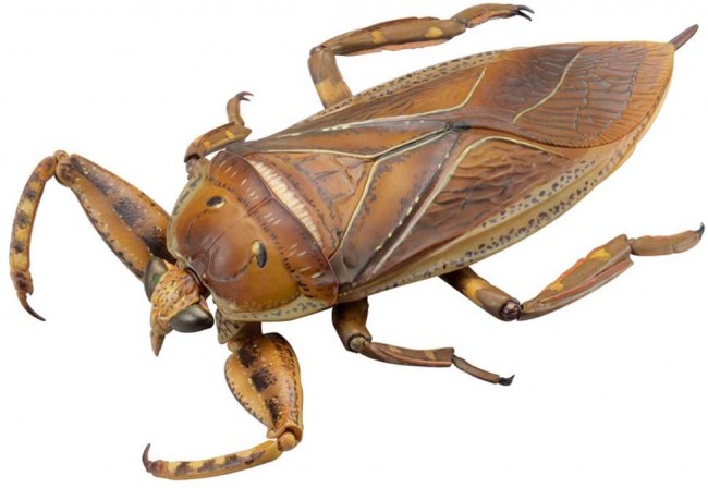 KAIYODO Revogeo Water Bug Tagame trackable shipping japan NEW | Zipang ...