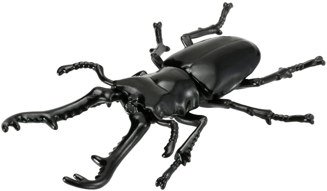 TAKARA TOMY Ania AS-40 Giraffa Sawtooth Stag Beetle japan NEW | Zipang ...