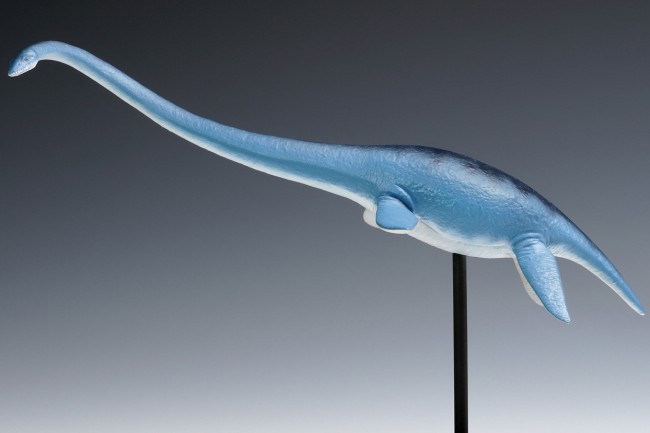 Wave 1/35 Futabasaurus japan NEW | Zipang Hobby