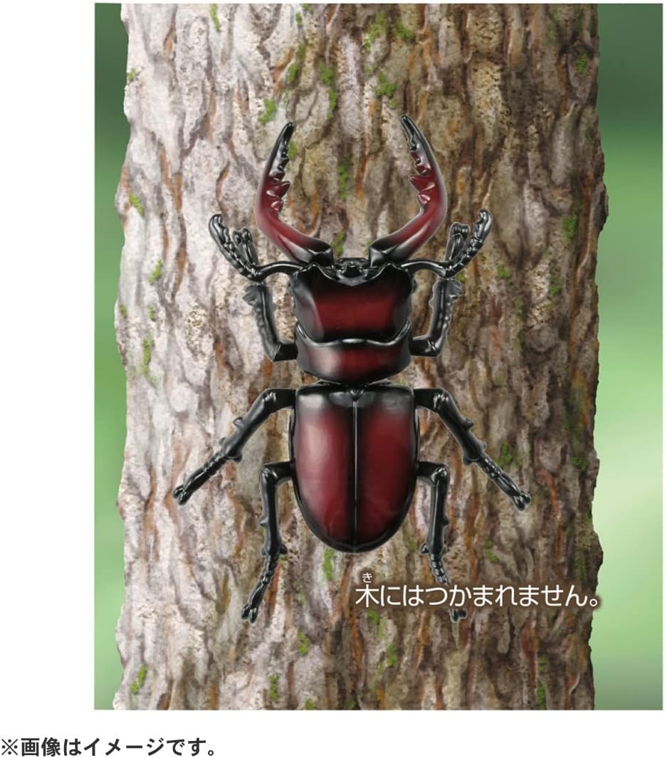 TAKARA TOMY Ania AS-43 Sawtooth Stag Beetle japan NEW | Zipang Hobby